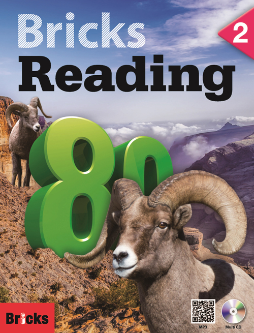 Bricks Reading 80 SB 2(WB+CD)